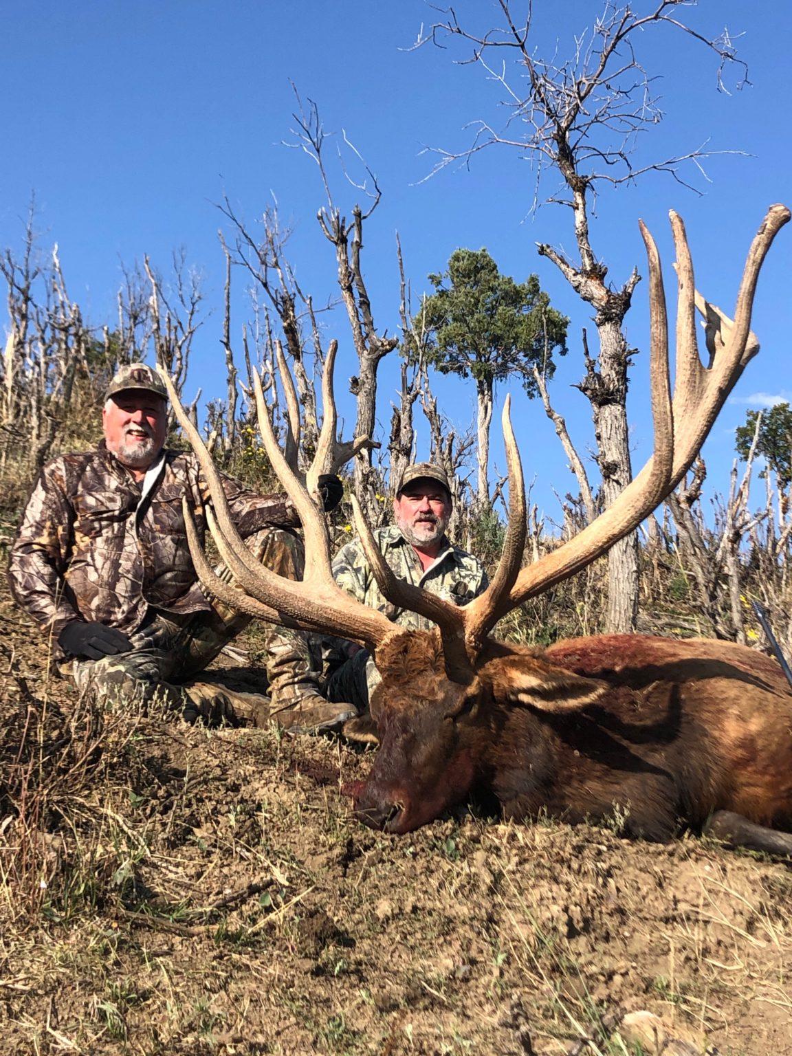 Trophy Game Park Elk Hunts | Lodge at Chama