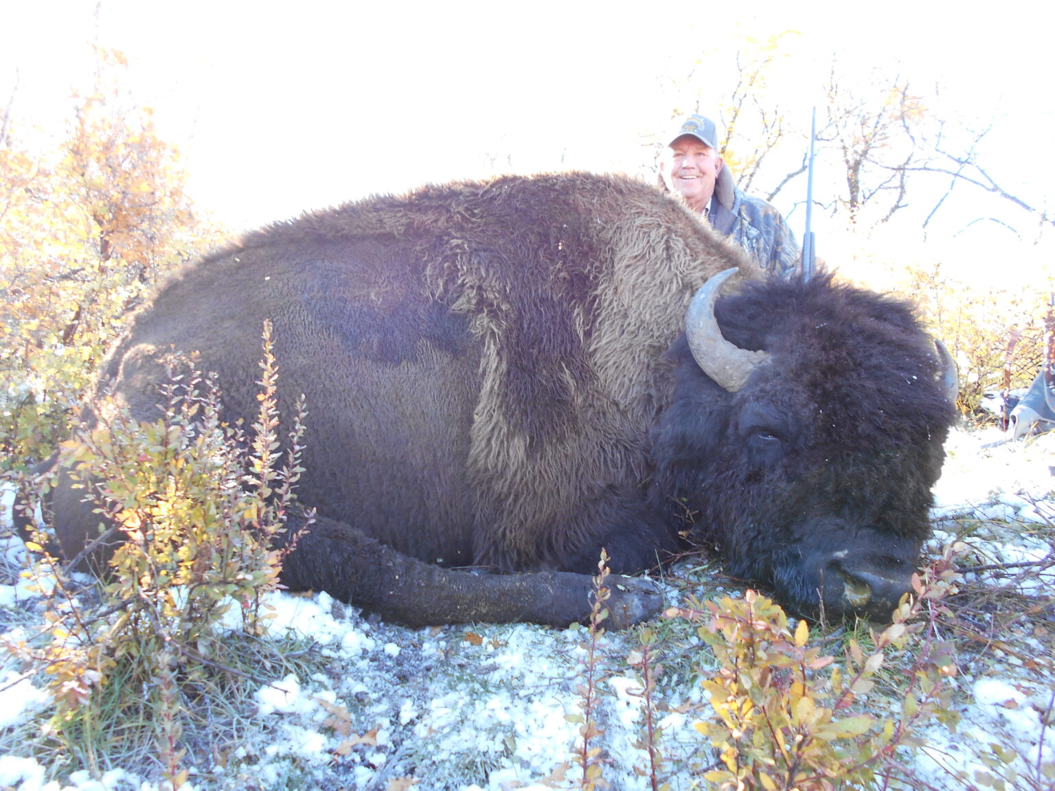 Trophy Bison Hunts | Lodge at Chama